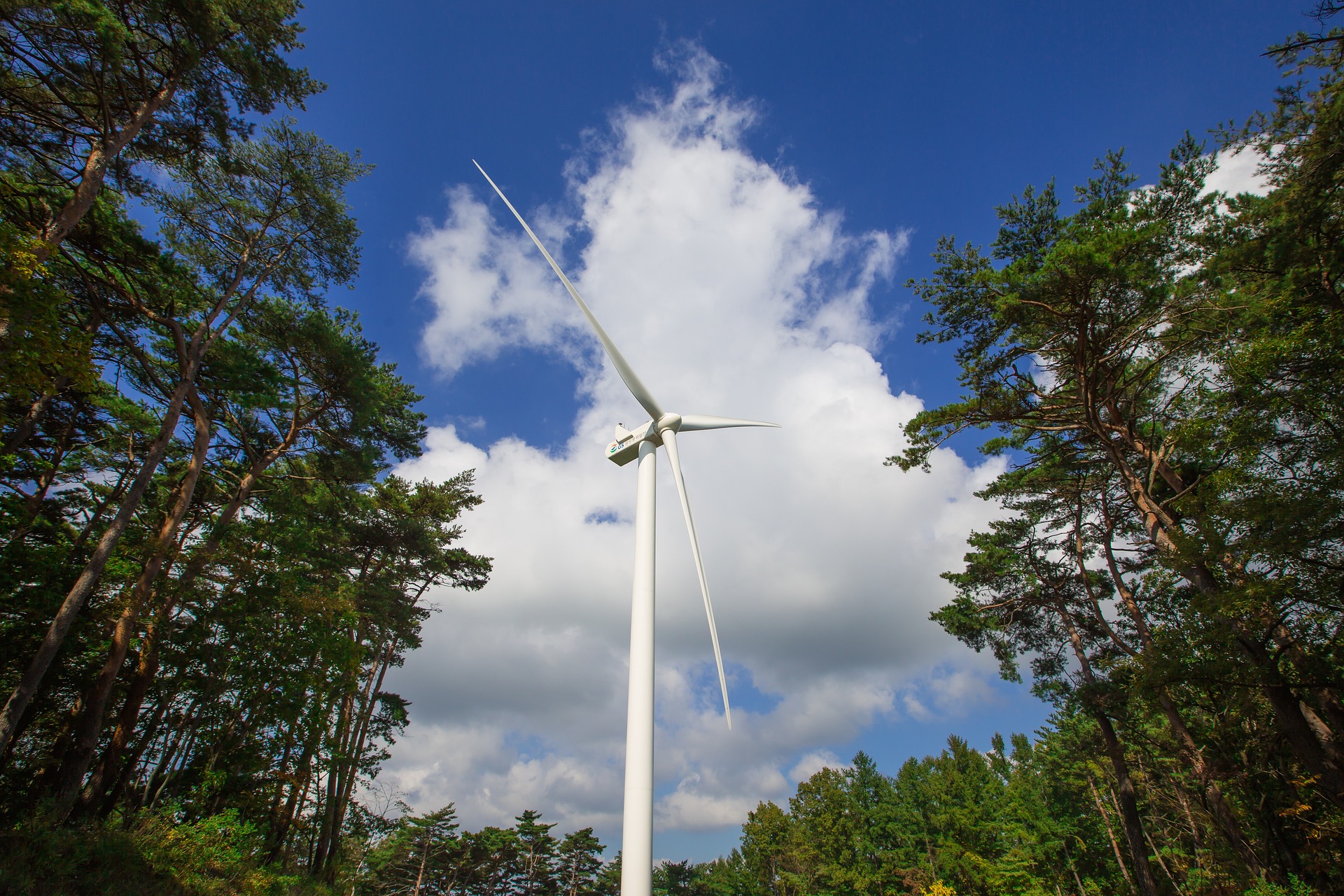 Warum wir Strom aus Wind erzeugen sollten: Das Thema Windkraft erhitzt ...